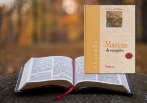 Bijbelcursus: Evangelie van Marcus - 25 nov - Plein van Siena